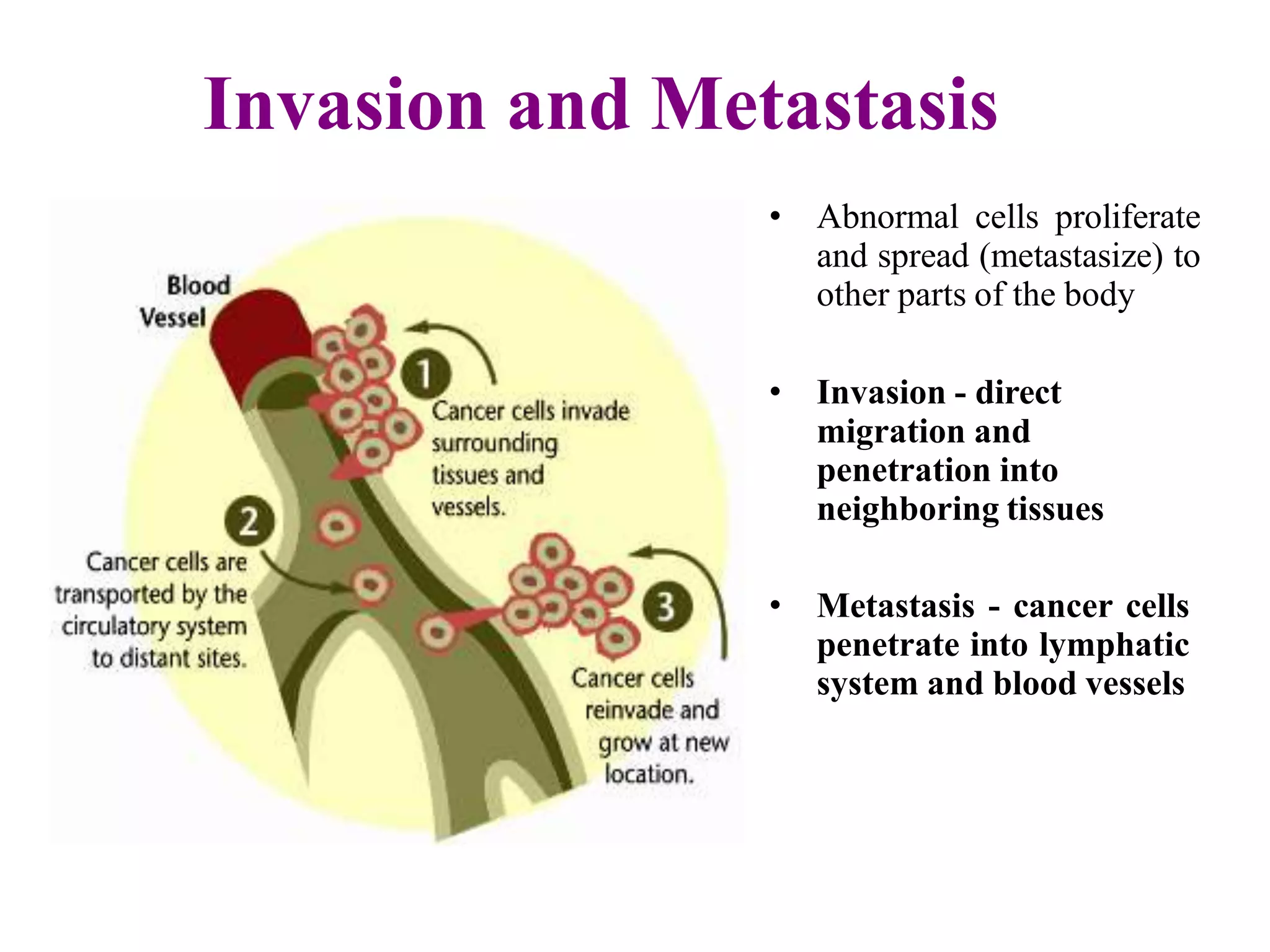 Molecular mechanism of neoplasia | PPTX