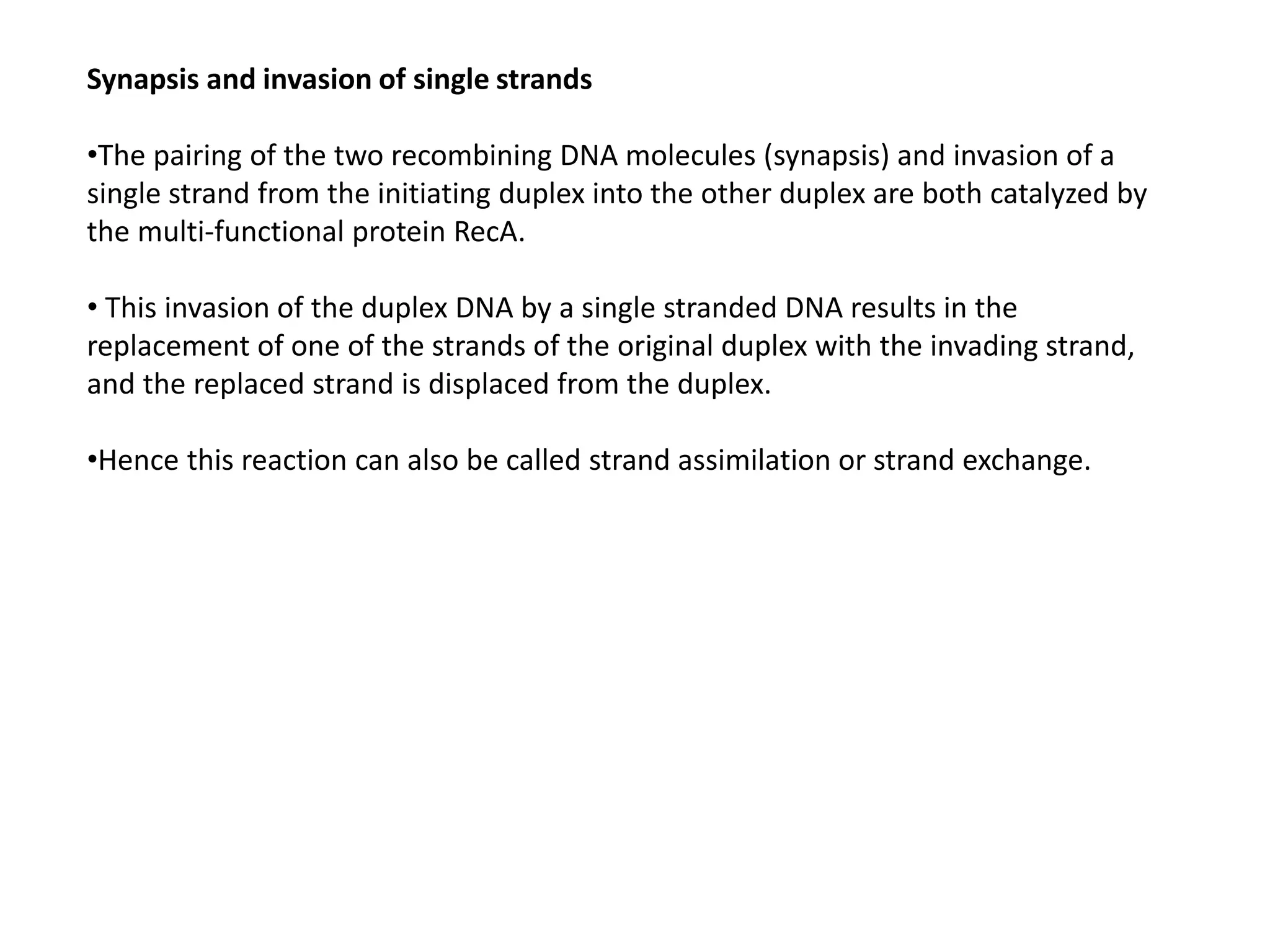 Molecular mechanism of recombination, post meiotic segregation | PPTX
