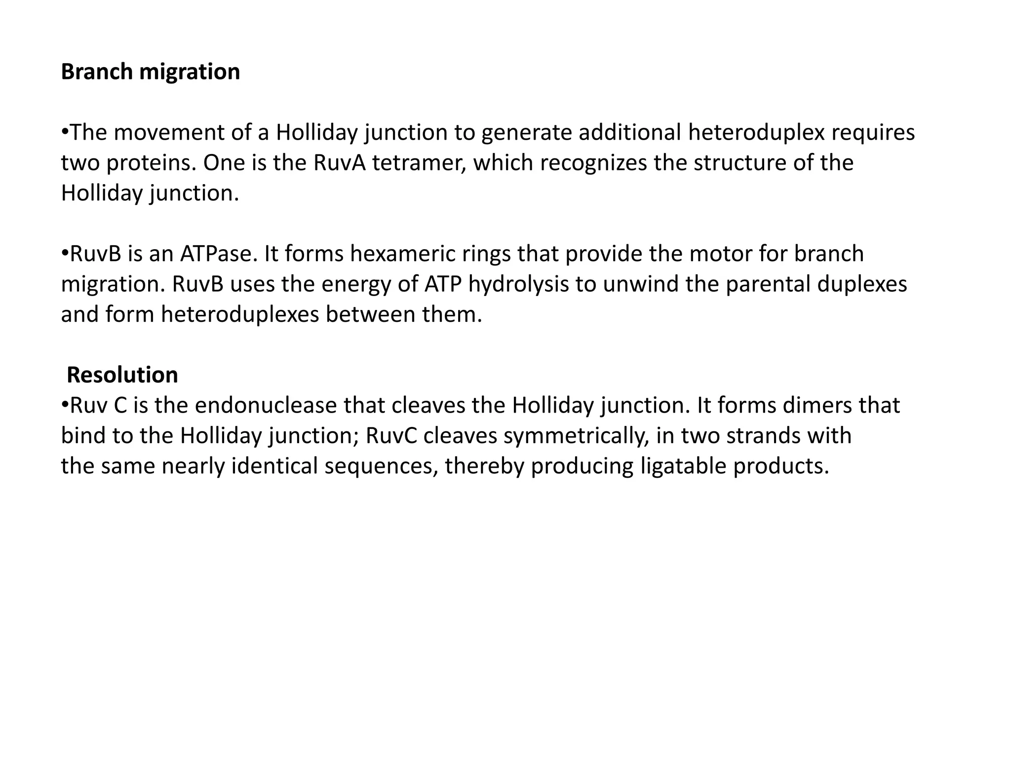 Molecular mechanism of recombination, post meiotic segregation | PPTX