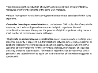 Molecular mechanism of recombination, post meiotic segregation | PPTX