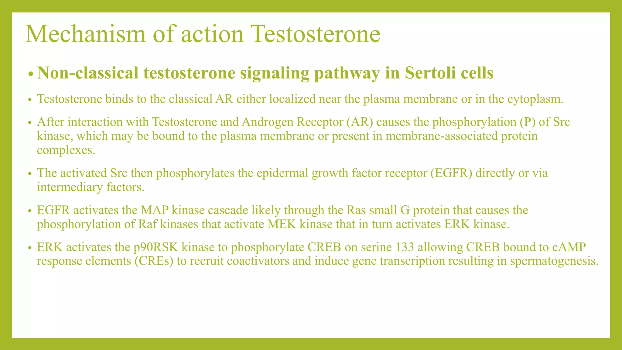 Molecular mechanism of sex hormone action | PPTX