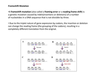 Molecular mechanism of spontaneous mutations | PPTX