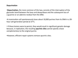 Molecular mechanism of spontaneous mutations | PPTX