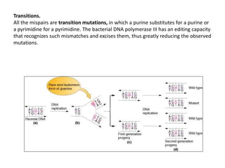 Molecular mechanism of spontaneous mutations | PPTX