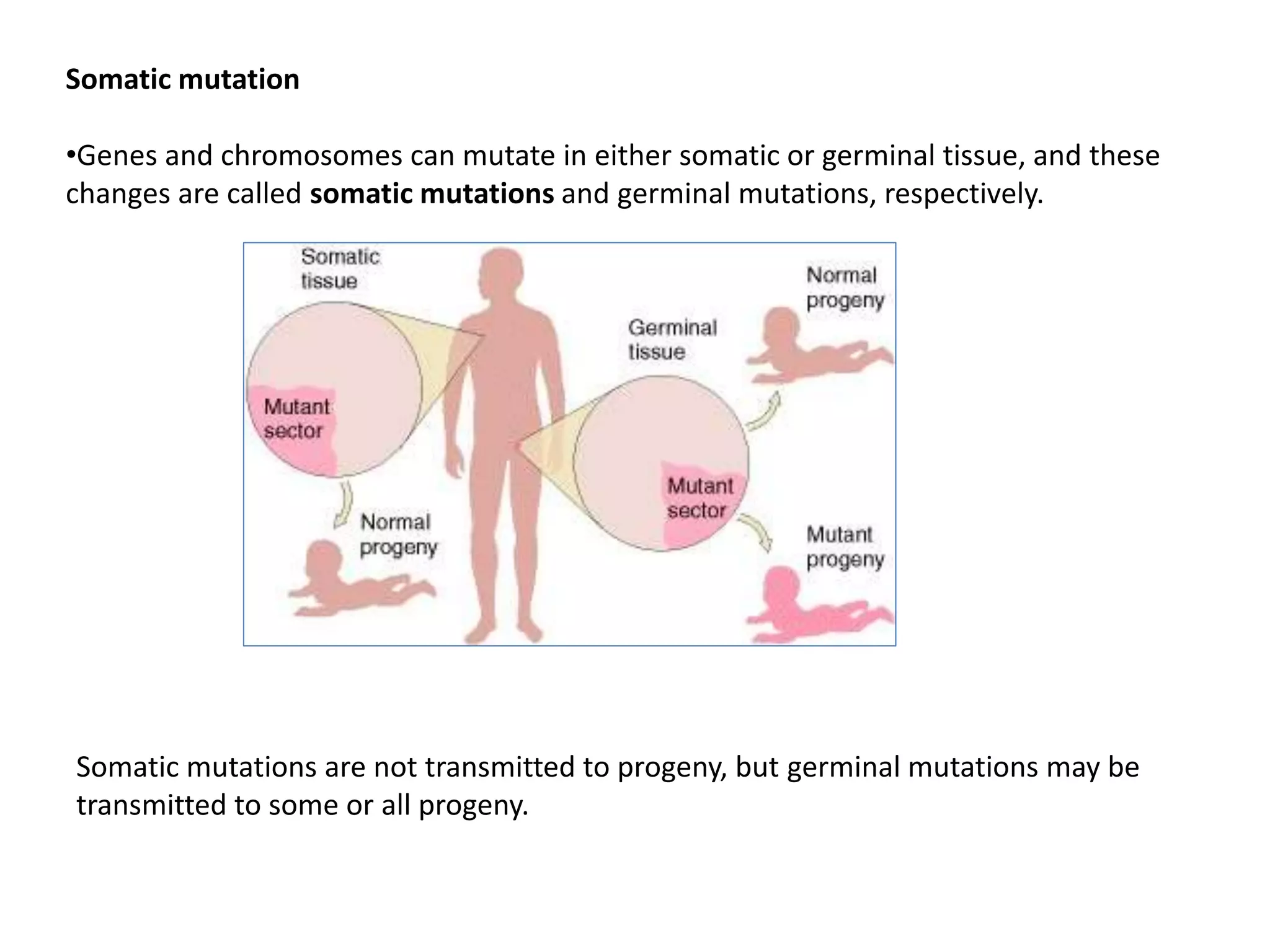 Molecular mechanism of suppression, somatic mutations | PPTX