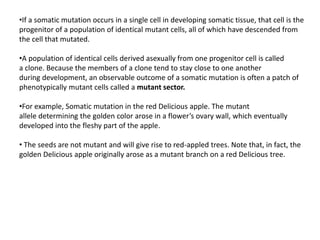 Molecular mechanism of suppression, somatic mutations | PPTX