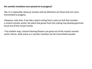 Molecular mechanism of suppression, somatic mutations | PPTX