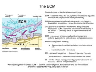 Molecular mechanisms final | PDF | Cancer | Diseases and Conditions
