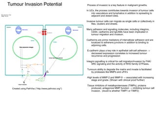 Molecular mechanisms final | PDF | Cancer | Diseases and Conditions