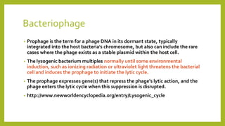 Molecular mechanisms of action of bacteriophages. | PPTX