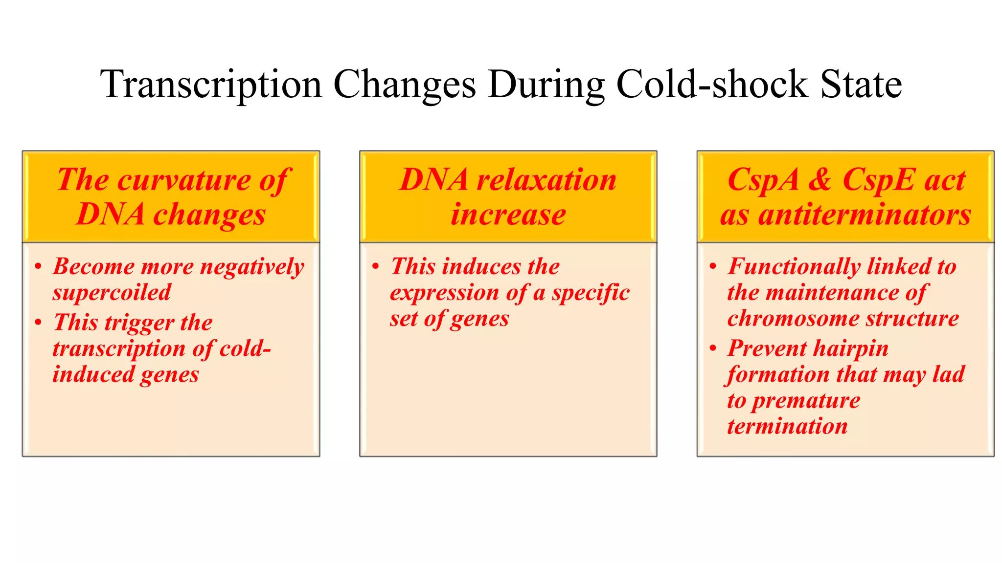 Molecular mechanisms of cold adaptation in bacteria | PPTX