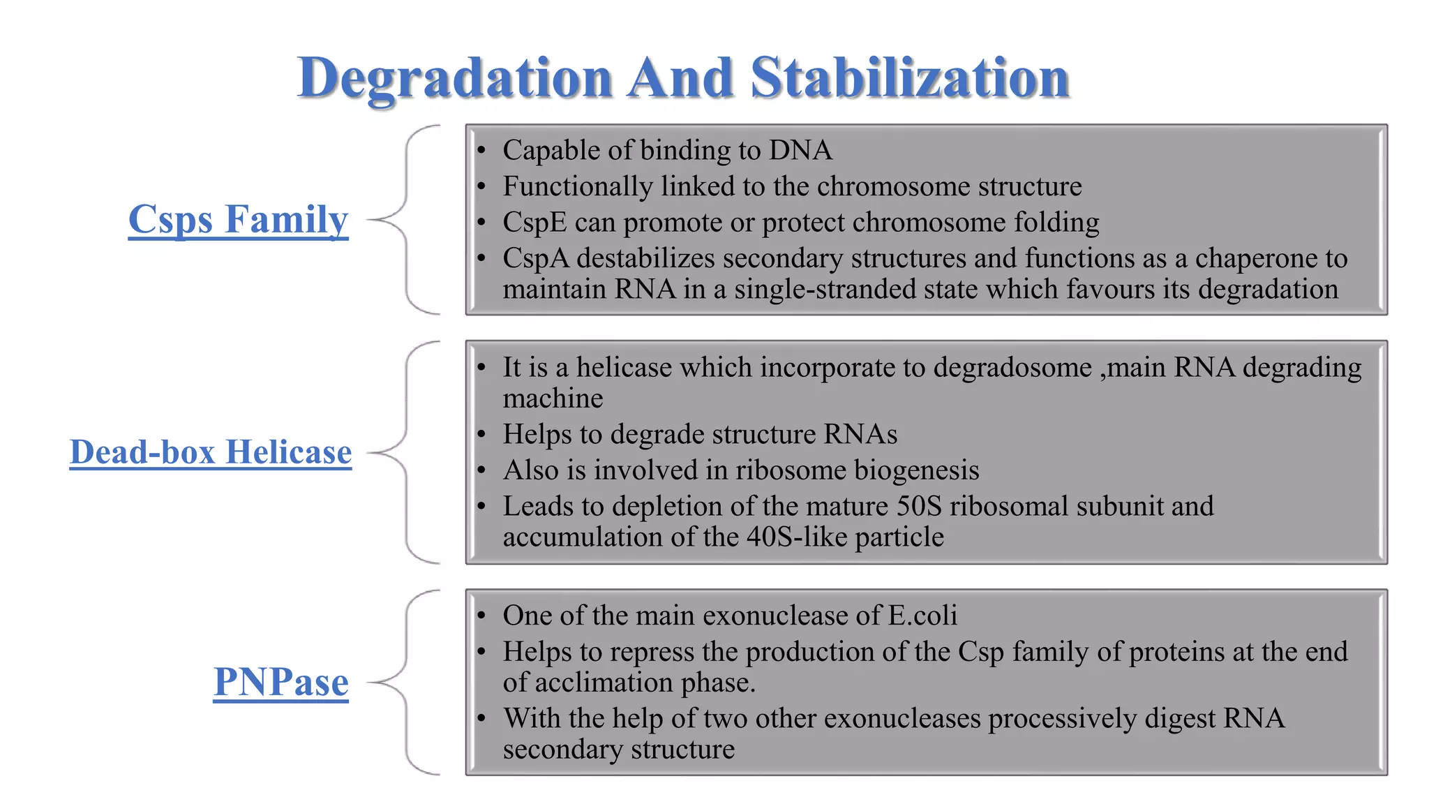 Molecular mechanisms of cold adaptation in bacteria | PPTX