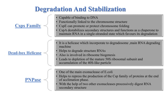 Molecular mechanisms of cold adaptation in bacteria | PPT
