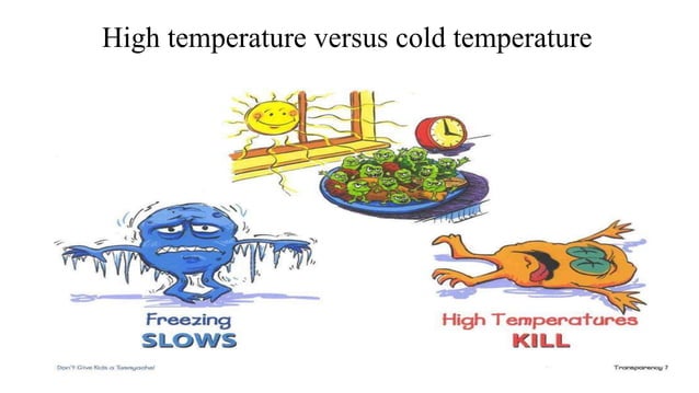 Molecular mechanisms of cold adaptation in bacteria | PPT