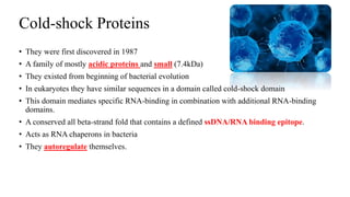 Molecular mechanisms of cold adaptation in bacteria | PPT