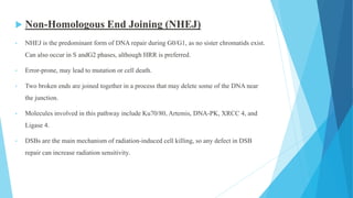 Molecular Mechanisms of DNA and chromosomes damage.pptx