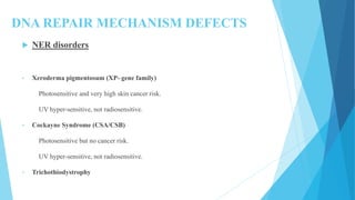 Molecular Mechanisms of DNA and chromosomes damage.pptx