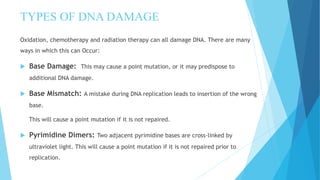 Molecular Mechanisms of DNA and chromosomes damage.pptx