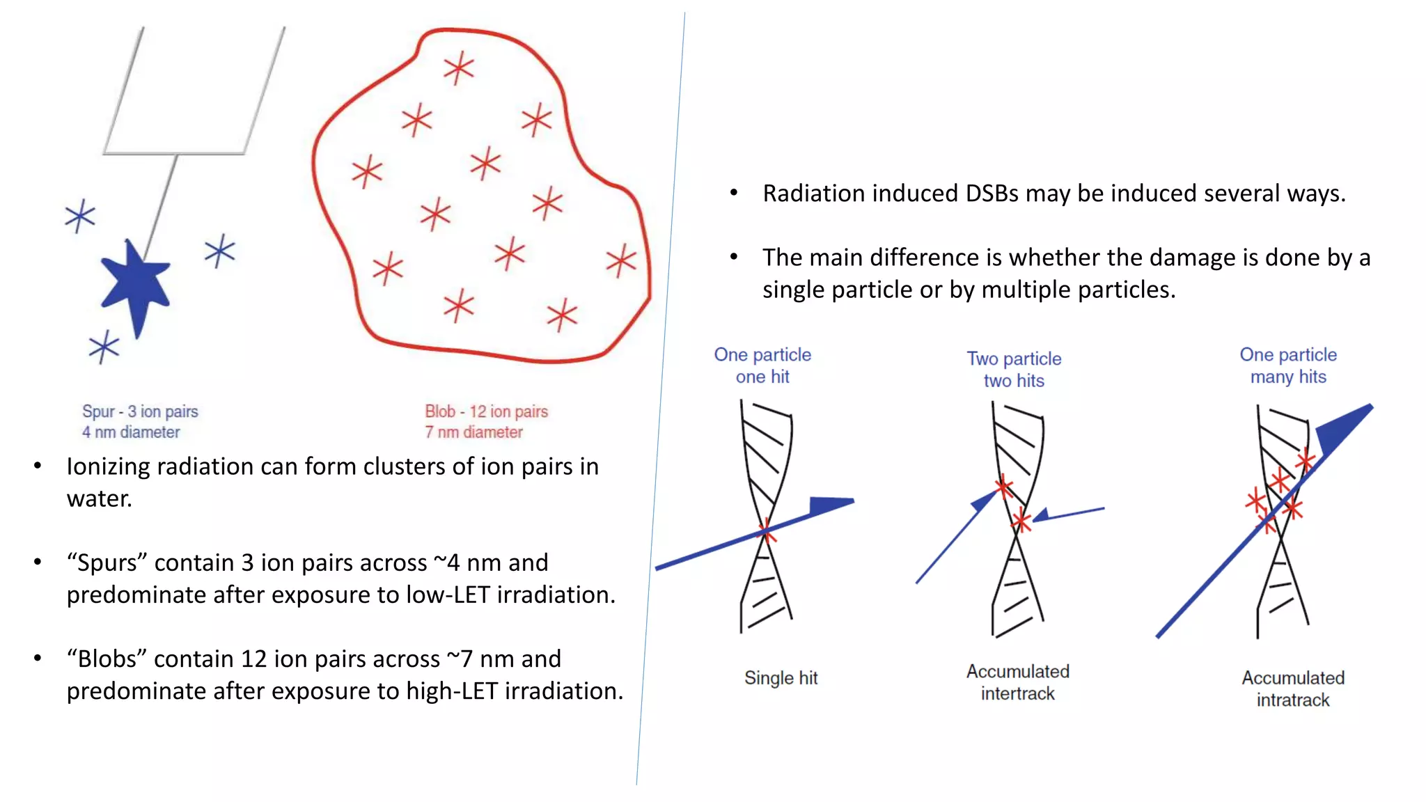 Molecular mechanisms of DNA damage and repair | PPTX