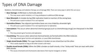 Molecular mechanisms of DNA damage and repair | PPTX