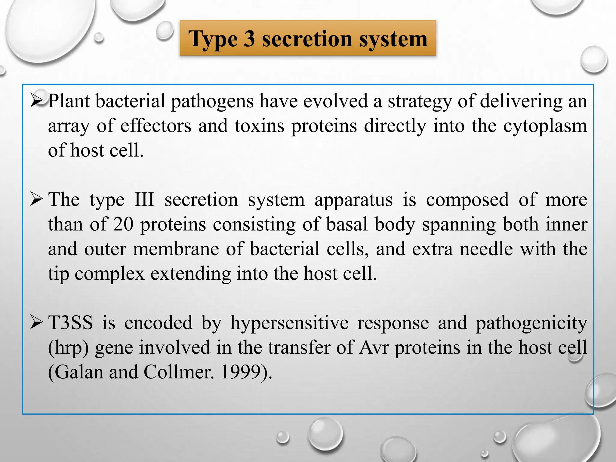 MOLECULAR MECHANISMS OF VIRULENCE AND PATHOGENESIS OF PLANT PATHOGENIC ...