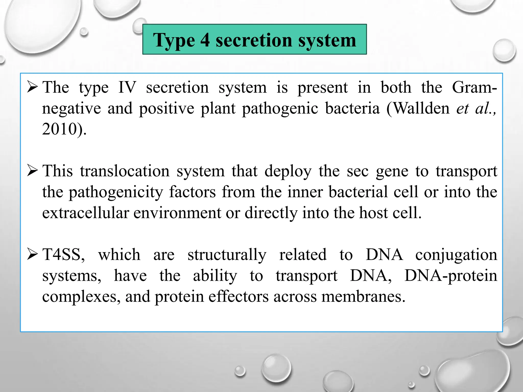 MOLECULAR MECHANISMS OF VIRULENCE AND PATHOGENESIS OF PLANT PATHOGENIC ...