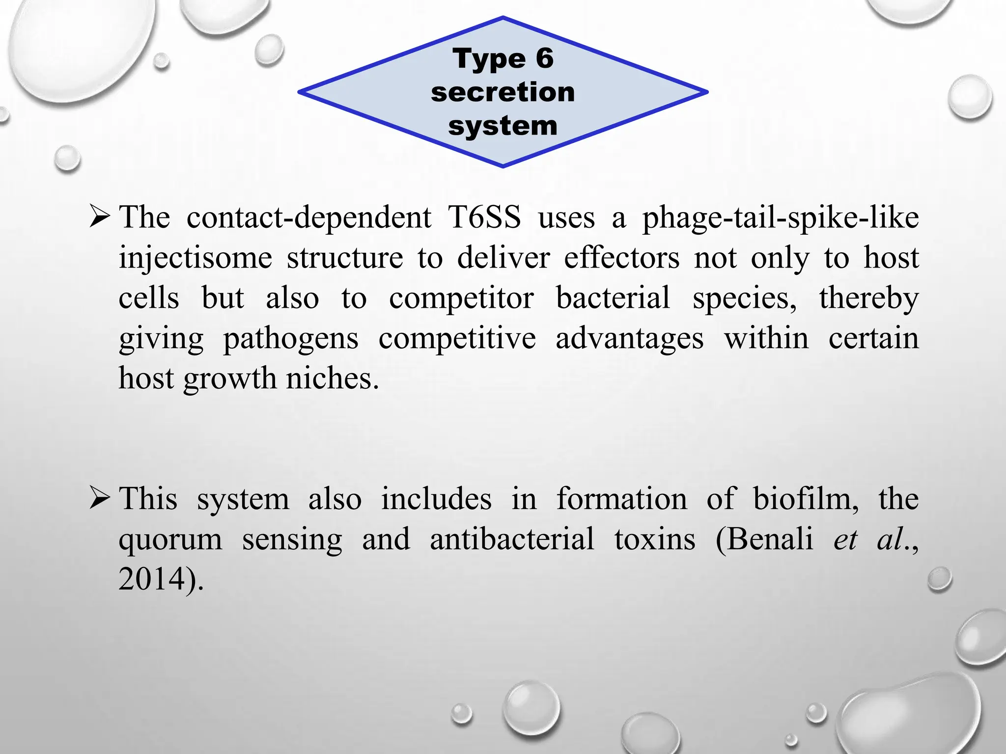 MOLECULAR MECHANISMS OF VIRULENCE AND PATHOGENESIS OF PLANT PATHOGENIC ...