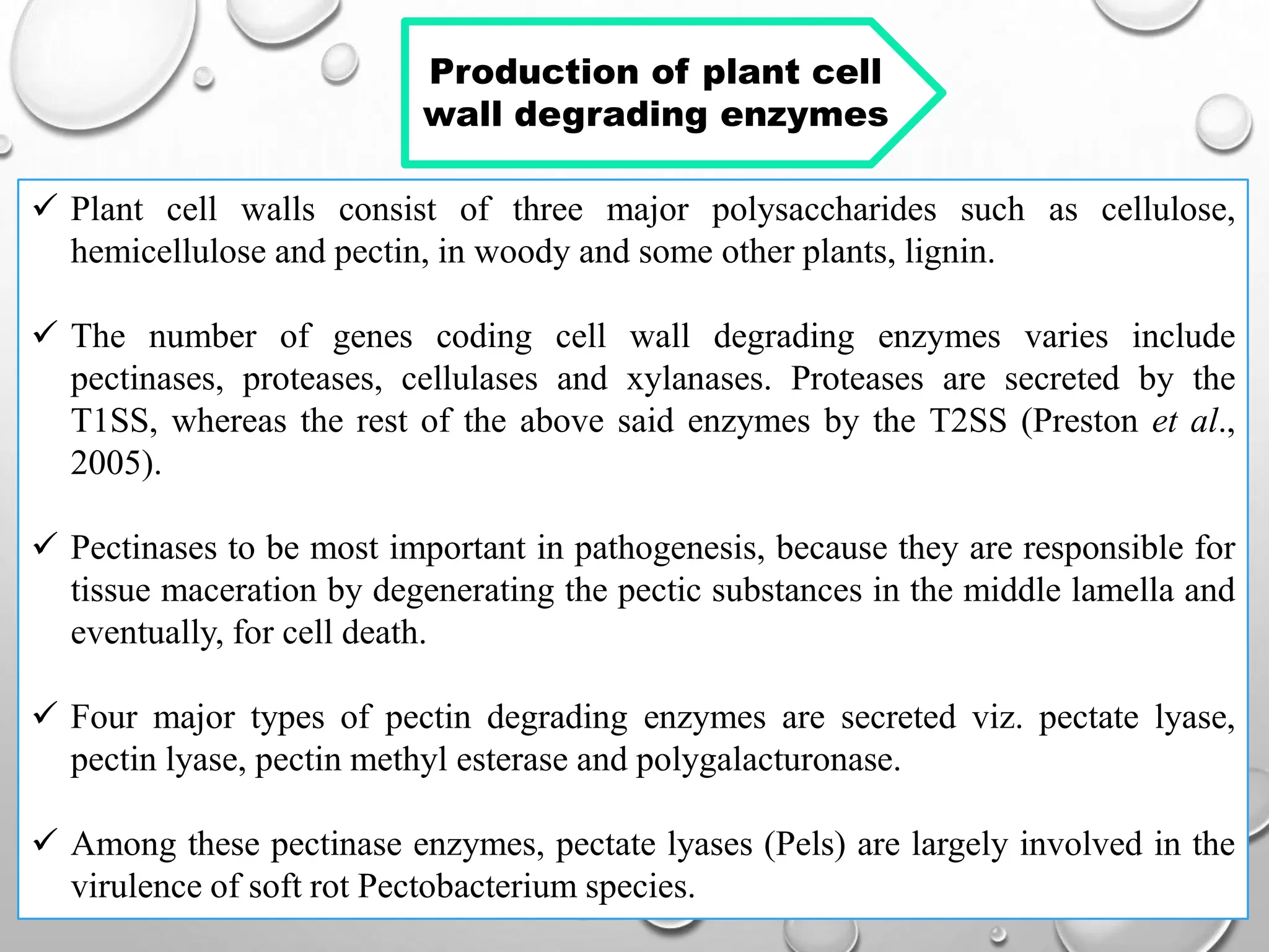 MOLECULAR MECHANISMS OF VIRULENCE AND PATHOGENESIS OF PLANT PATHOGENIC ...