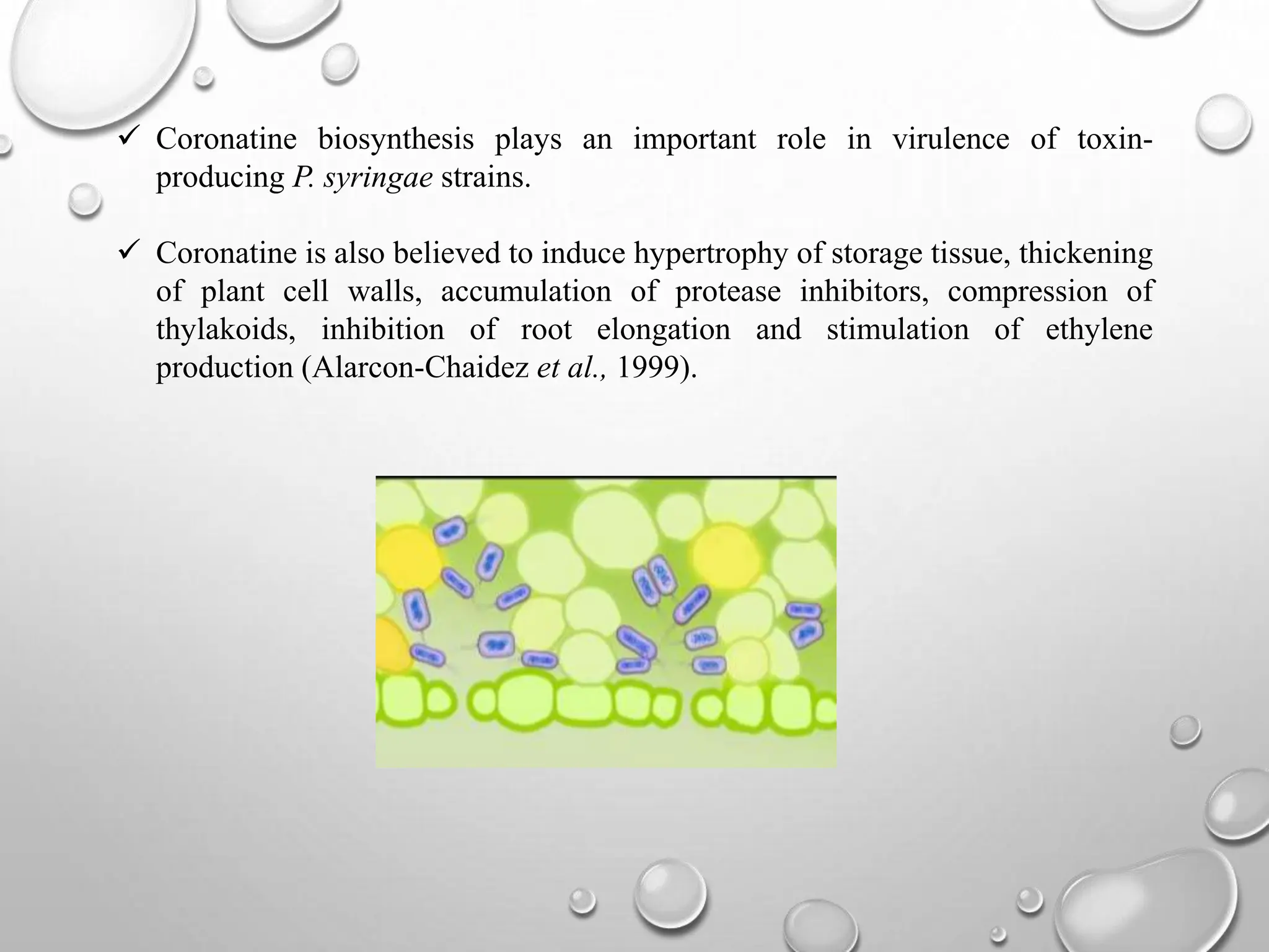 MOLECULAR MECHANISMS OF VIRULENCE AND PATHOGENESIS OF PLANT PATHOGENIC ...