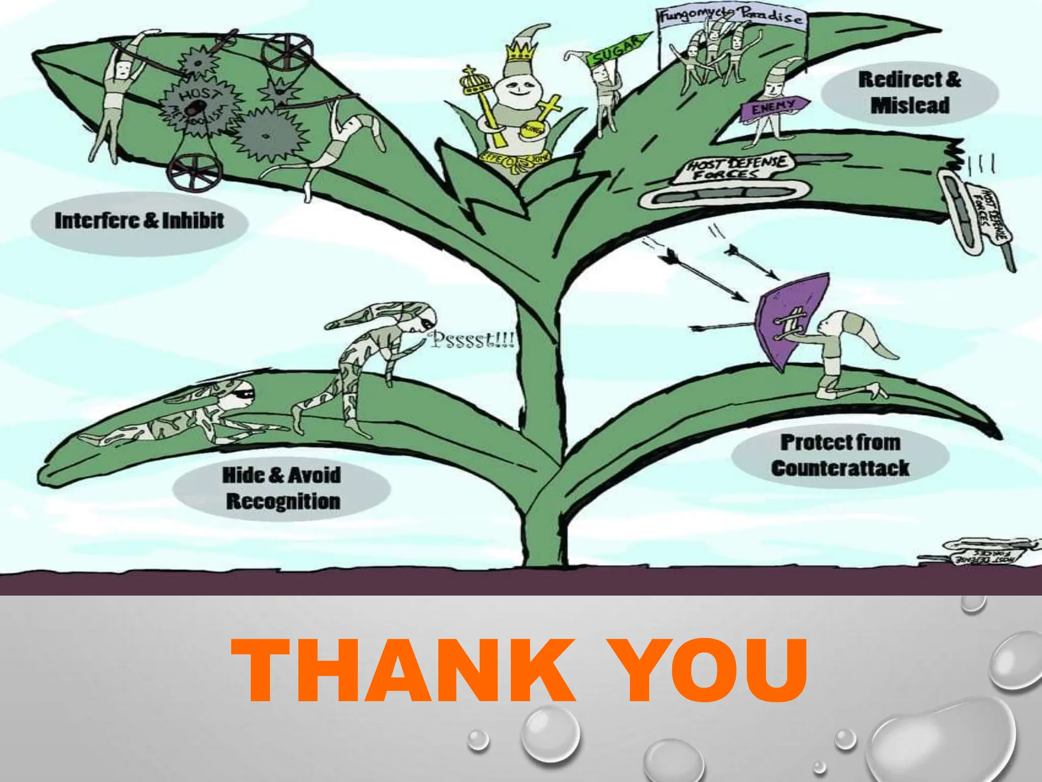 MOLECULAR MECHANISMS OF VIRULENCE AND PATHOGENESIS OF PLANT PATHOGENIC ...