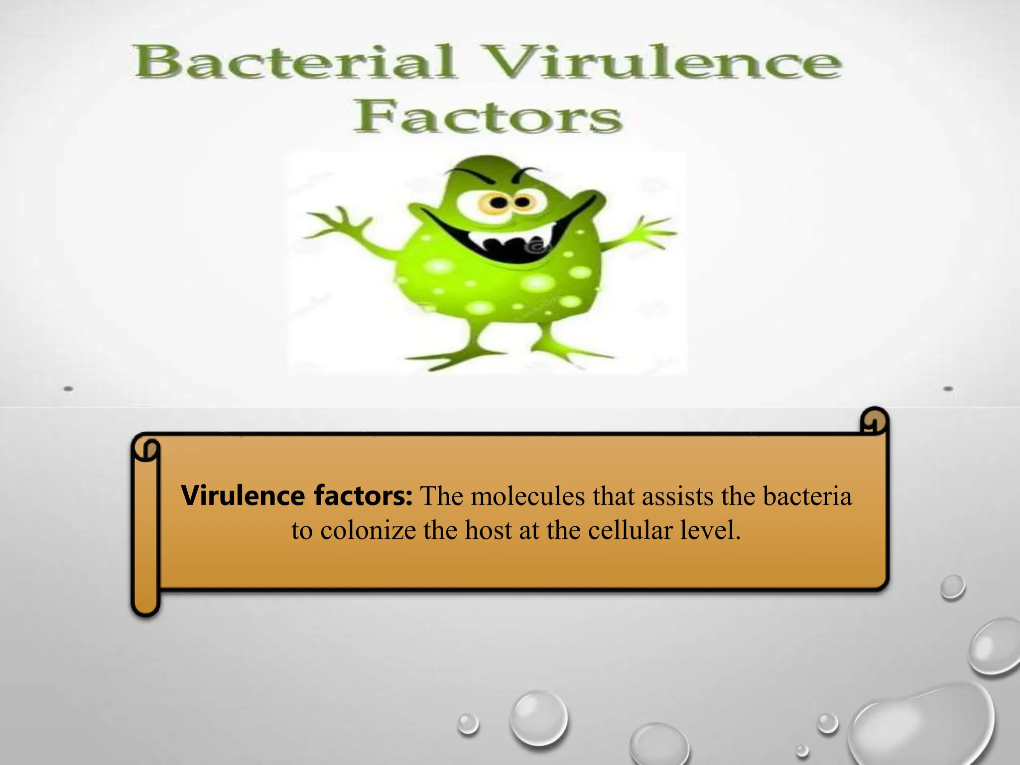 MOLECULAR MECHANISMS OF VIRULENCE AND PATHOGENESIS OF PLANT PATHOGENIC BACTERIA.pptx