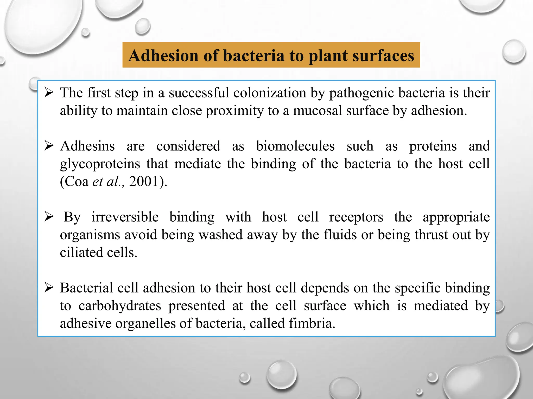 MOLECULAR MECHANISMS OF VIRULENCE AND PATHOGENESIS OF PLANT PATHOGENIC ...