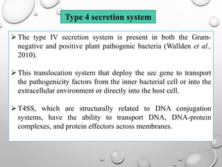 MOLECULAR MECHANISMS OF VIRULENCE AND PATHOGENESIS OF PLANT PATHOGENIC ...