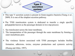 MOLECULAR MECHANISMS OF VIRULENCE AND PATHOGENESIS OF PLANT PATHOGENIC ...