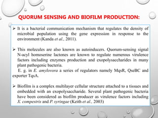 MOLECULAR MECHANISMS OF VIRULENCE AND PATHOGENESIS OF PLANT PATHOGENIC BACTERIA.pptx