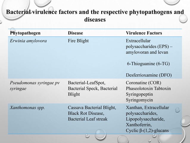 MOLECULAR MECHANISMS OF VIRULENCE AND PATHOGENESIS OF PLANT PATHOGENIC ...