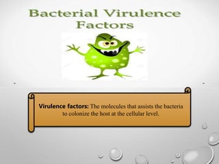 MOLECULAR MECHANISMS OF VIRULENCE AND PATHOGENESIS OF PLANT PATHOGENIC ...
