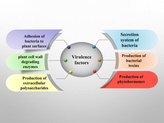 MOLECULAR MECHANISMS OF VIRULENCE AND PATHOGENESIS OF PLANT PATHOGENIC BACTERIA.pptx