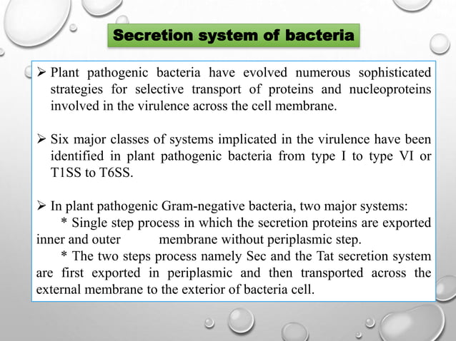 MOLECULAR MECHANISMS OF VIRULENCE AND PATHOGENESIS OF PLANT PATHOGENIC ...
