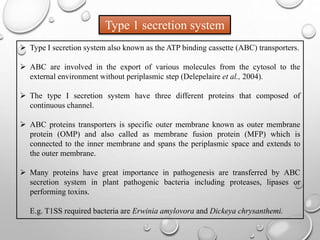 MOLECULAR MECHANISMS OF VIRULENCE AND PATHOGENESIS OF PLANT PATHOGENIC ...
