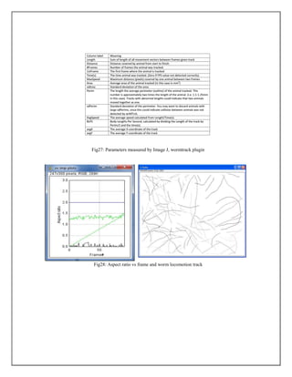 C-elegans locomotion tracking system | PDF