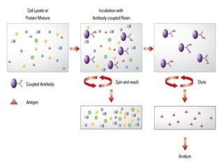 Molecular methods | PPT