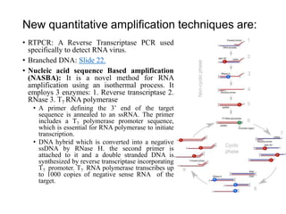 Molecular methods | PPT