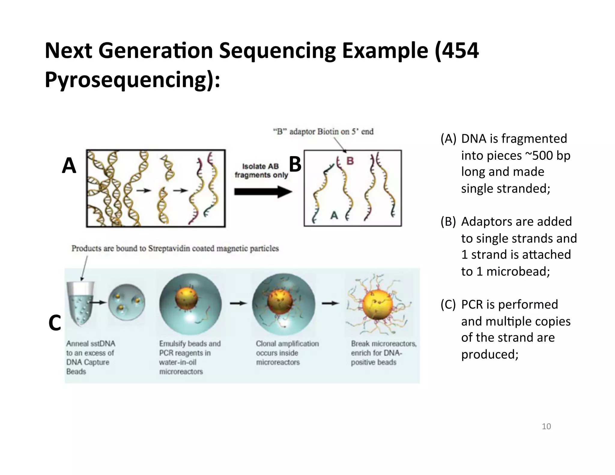 DNA-based methods for bioaerosol analysis | PPT