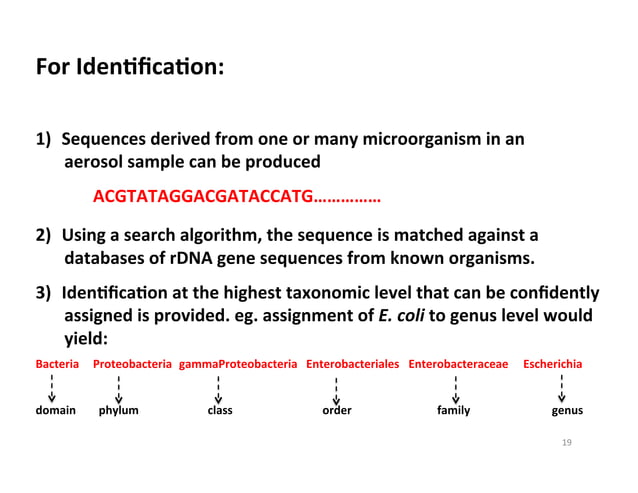 DNA-based methods for bioaerosol analysis | PPT