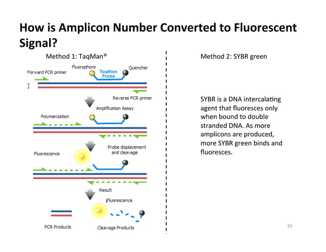 DNA-based methods for bioaerosol analysis | PPT