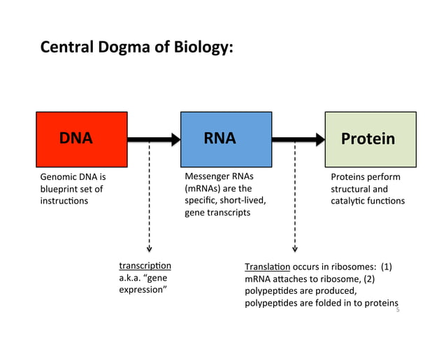 DNA-based methods for bioaerosol analysis | PPT