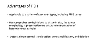 Molecular methods in oncology | PPTX
