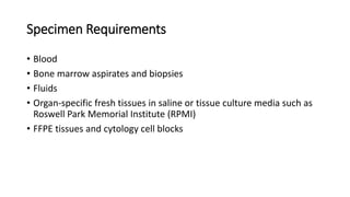 Molecular methods in oncology | PPTX