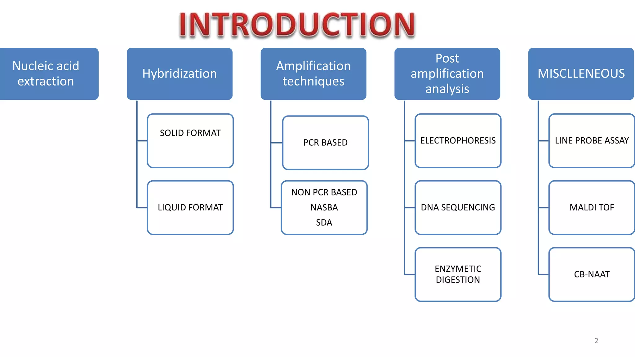 MOLECULAR MICROBIOLOGY.pptx